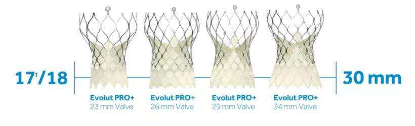 雅培入局最具前景瓣膜TAVR，爱德华、美敦力、波科......百亿赛道谁当“C”？